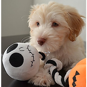 Disney Nightmare Before Christmas Pumpkin King Rope Tug Chew Dog Toy, Two Built-in Squeakers, Multi-Sensory Toy