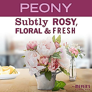 MRS. MEYER'S CLEAN DAY Liquid Dish Soap, Biodegradable Formula, Peony, 16 fl. oz