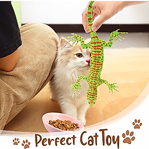 CiyvoLyeen Lizard Catnip Toys Chew Bite Resistant Toys for Indoor Cats Boredom Relief Teeth Cleaning Interactive Funny Cute Kitten Cat Lover Gifts Christmas Birthday Presents Set of 4