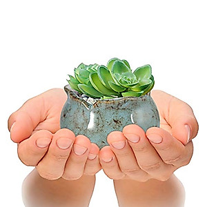 Laerjin Succulent Pots, 4 Inch Ceramic Plant Pots and Drainage Hole with Bamboo Tray, Colorful Flower Planter Pot, Pack of 6 (Plants Not Included)