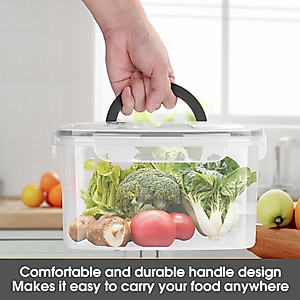 EsOfficce 4 PCS Vegetable Fruit Storage Containers for Fridge, Takeout Food Storage Containers with Removable Colander, Dishwasher Safe Produce Saver Container, Keep Fruit Vegetable Fresh Longer