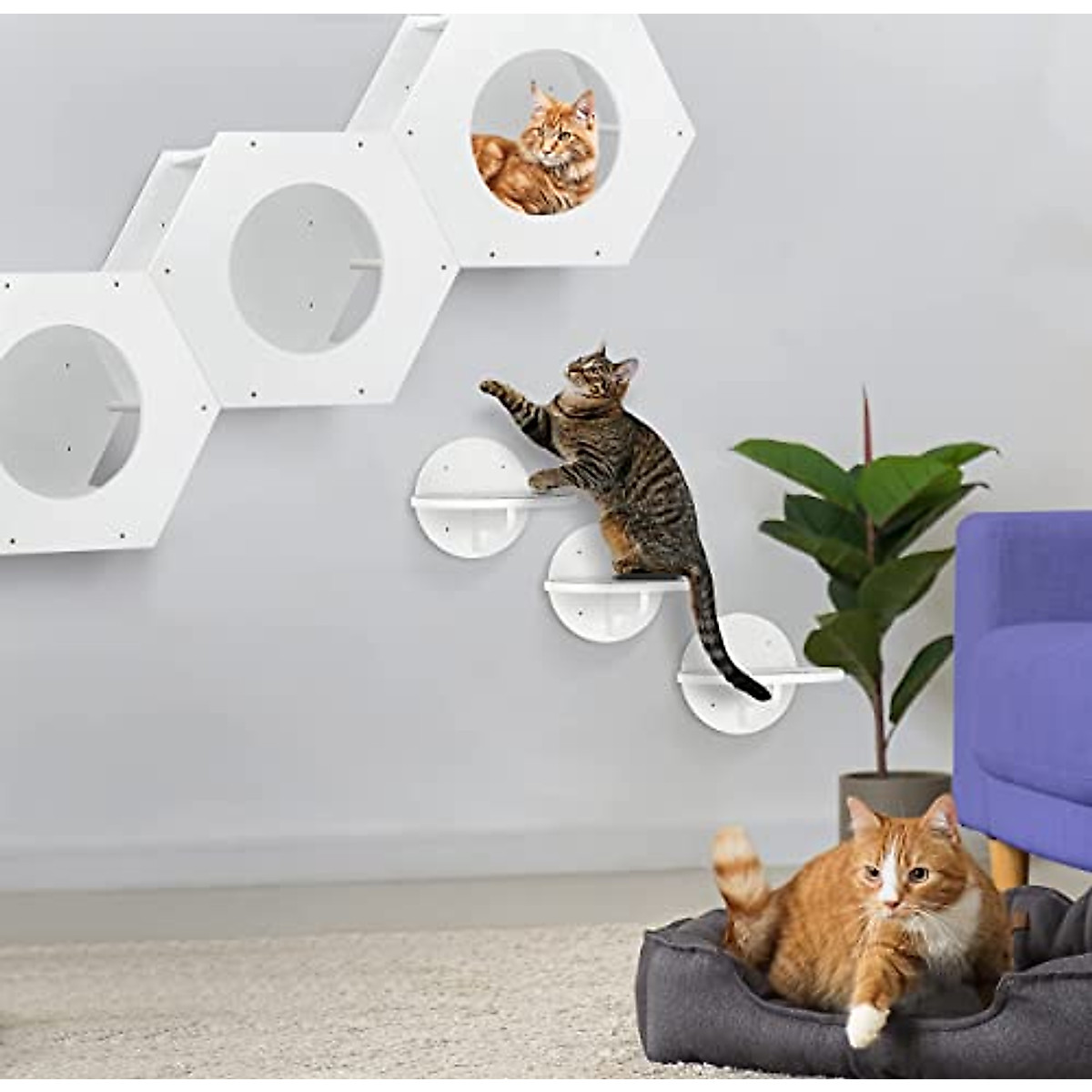 Cat House Wall Mount, Cat Shelves and Perches for Wall Fit Cat Up to 10Lbs, Cat Wall Shelves with 3 Wall Steps and Scratching Pad, Cat Hammock Wall Mount, White