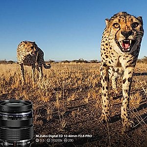 Olympus OM-D E-M5 Mark II Kit, Micro Four Thirds System Camera + M.Zuiko 12-40 mm PRO Universal Zoom + Power Battery Holder & Battery Black