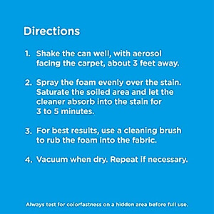 Shout Carpet Aerosol Stain and Odor Foaming Spray with OXY Power | Completely Removes Tough Urine Stains & Prevents Pet from Remarking | Safe for Kids & Pets | Fresh Scent