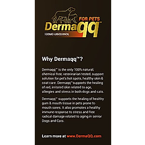 Dermaqq Ubiquinol - CoQ10 for Dogs and Cats Hot Spots, Hair Loss, Dermatitis Support (2 Boxes - 100MG softgels)