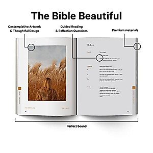 The Good and Beautiful Bible Study: Experiencing Stories From the Bible and What It Means for Our Lives Today