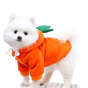 Dog Clothes Lightweight Puppy Hoodie Pet Sweatshirt Doggie Hooded Outfits Cat Apparel