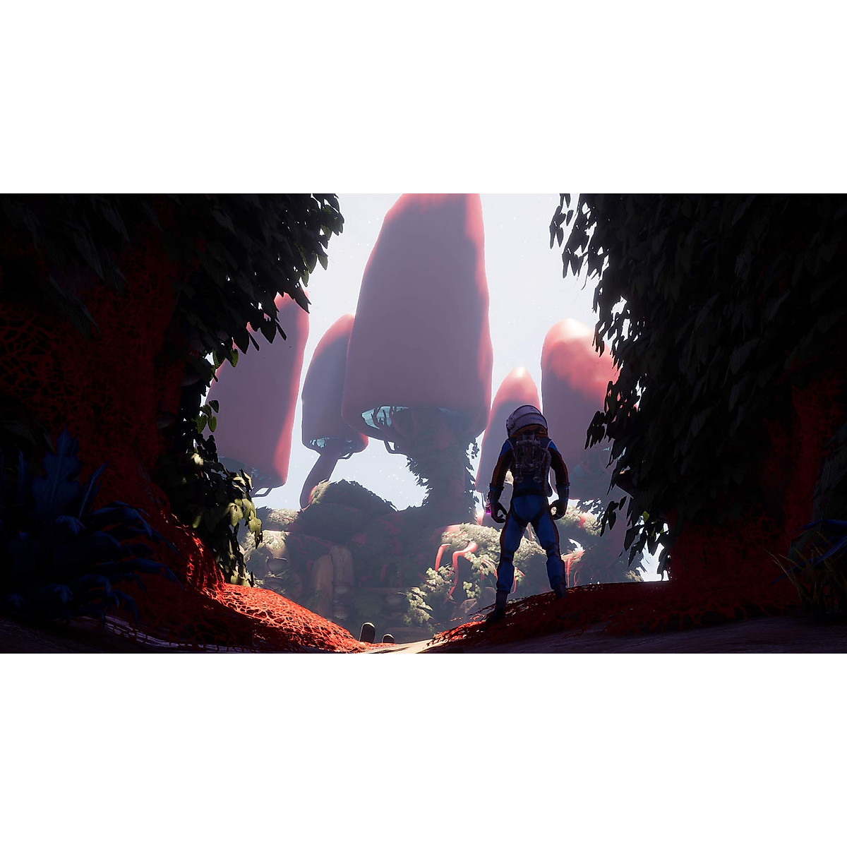 Journey To The Savage Planet (PS4)