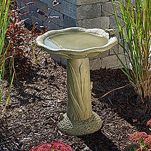 SmartSolar 20633R01 Solar Birdbath, Medium, Olive Green