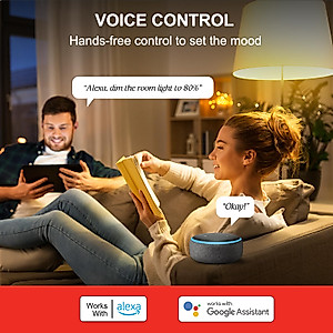 Sengled Alexa Light Bulb, WiFi Light Bulbs, Smart Light Bulbs, Smart Bulbs that Work with Alexa & Google Assistant, A19 Soft White (2700K) No Hub Required, 800LM 60W Equivalent High CRI>90, 4 Pack