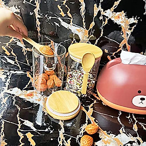 Piscepio Glass Jar Containers with Bamboo Airtight Lid Wooden Spoon Scoop Food Storage Canister Clear Glass Containers Kitchen Organization Jars 2 Pcs 18.5 OZ