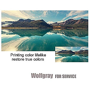 Wolfgray Compatible Ink Cartridge Replacement for Canon PGI-250 CLI-251 PGI-250XL CLI-251XL PIXMA iP8720 PIXMA MG6320 PIXMA MG6620 PIXMA MG7120 PIXMA MG7520 Inkjet Printer (8Large BK+8BK+8C+8M+8Y+8GY)