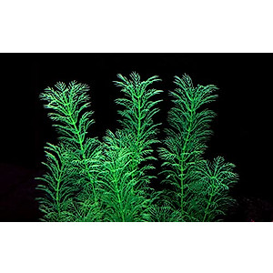 QUMY Aquarium Plants Artificial Plastic Fish Tank Plants Decoration Set for All Fish 5 PCS