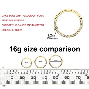 BLISI G23 Titanium Septum Clicker 16G Gold Hinged Nose Hoop Segment Rings 8mm Cubic Zirconia Cartilage Earrings Conch Daith Helix Rook Tragus Ear Body Piercing Jewelry