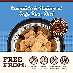 Primal Freeze Dried Dog Food Nuggets Duck 14 oz, Complete & Balanced Scoop & Serve Healthy Grain Free Raw Dog Food, Crafted in The USA