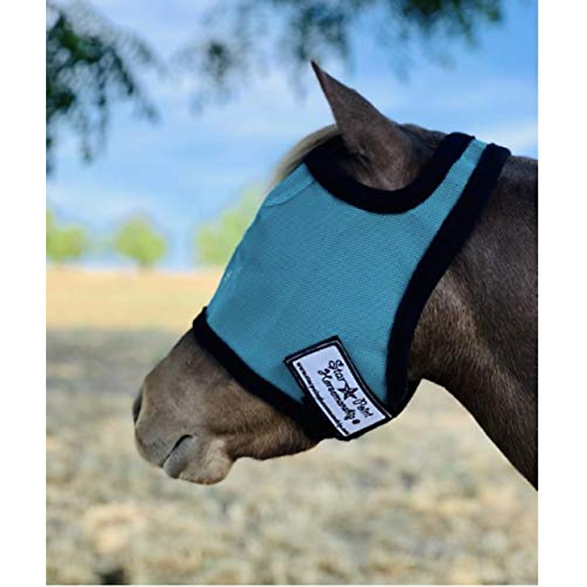 Star Point Mini-Pony Fly Mask (Large 39-45" Pony, Teal/Black Trim)