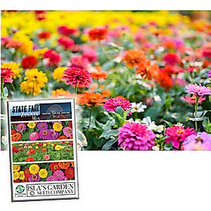 "State Fair Mix" Zinnia Flower Seeds for Planting, 100+ Seeds Per Packet, (Isla's Garden Seeds), Non GMO & Heirloom Seeds, Scientific Name: Zinnia elegans, Great Home Garden Gift