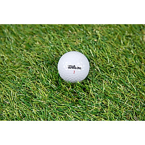 Clean Green Used Golf Balls 48 Pack Recycled Used Wilson Golf Balls - includes a Mix of Cheap Golf Balls for Wilson Triad Golf Ball, Wilson Staff Golf Balls, Wilson Duo Soft Golf Balls