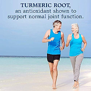 Garden of Life Joint and Tissue Support, FYI Supplement with Chicken Collagen Type II, Ginger, Cats Claw, Turmeric, Oregano and Enzymes Bromelain, Papain, Amylase, Lipase, 90 Day Supply, 90 Caplets