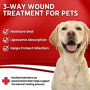 PoviGel Dog Wound Care Ointment, Fast Absorption Rapid Healing Pain & Itch Relief, Dog Ear Infection Treatment, Yeast Infection Treatment for Dogs & Cats, Povidone-Iodine 3% for Pets, Hot Spots