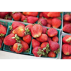 ALLABOARD California Strawberry Seeds for Planting | Heirloom Organic Sweet Strawberry Seeds for Hydroponic Garden - 500 Seeds (California Strawberry)