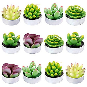 Swpeet 12Pcs Decorative Succulent Cactus Tealight Candles Kit, Cute Smokeless Succulent Plants Perfect for Candles Festival Wedding Props and House-Warming Party (N0.8-Candle)