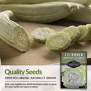 Survival Garden Seeds - Armenian Pale Green Cucumber Seed for Planting - Packet with Instructions to Plant and Grow Long Burpless Cucumbers in Your Home Vegetable Garden - Non-GMO Heirloom Variety