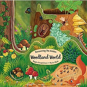 Discovering the Hidden Woodland World (Happy Fox Books) Board Book for Kids Ages 3-6 Explores into a Forest of Trees with Every Turn of the Page, plus Fun Facts and Vocabulary Words (Peek Inside)