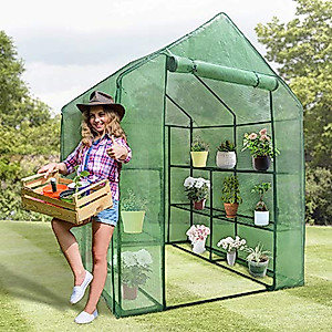 BBBuy 2-Tier Mini Greenhouse 8 Shelves Garden Plant Flower House Grow Tent Indoor Outdoor with PE Cover and Roll-Up Zipper Door Greenhouse, Grow Plant Herbs Flowers Warm House