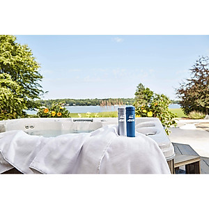 FROG @Ease in-Line Sanitizing System for Hot Tubs, for use in Marquis Spas, Caldera Spas, Artesian Spas and Hot Springs Spas up to 600 gallons, Hot Tub Sanitizer, Cyanuric Acid Free