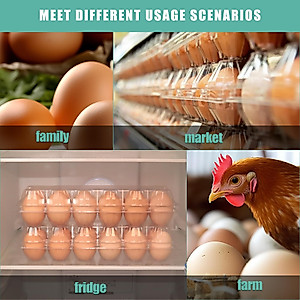 SINLUCESCE 40 Packs Plastic Egg Carton,Egg Cartons 2 * 6Grids，Egg Cartons Cheap Bulk，Perfect forfor 12 Eggs, Refrigerator Chicken Farm Markets，Large