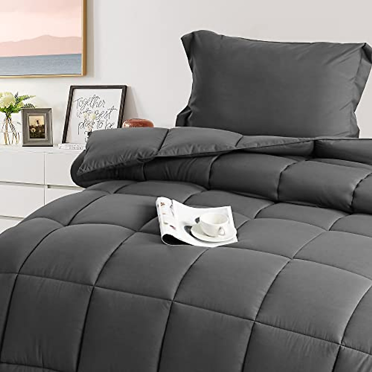 BEDHOURS Queen Comforter Set-3 Pieces Cooling Down Alternative Queen Size-All Season Reversible Comforter with 2 Pillow Sham (Dark Grey Queen)