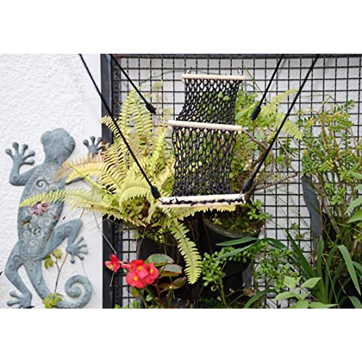 BuyLover -Chameleon Accessories cage, Reptile Hammock Climbing- Bird Ladder, Bearded Dragon, Hamster Bridge, Chicken coops Swing, Rat Toys, Parakeet, Terrarium Decor- 1 pc 22" H x 5" L