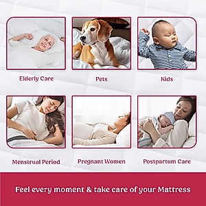 LUX Decor Twin Mattress Pad - Quilted Elastic Fitted Mattress Cover Protector Upto 16 Inches Deep Pocket - Soft Breathable Noiseless Mattress Topper (39 X 75)