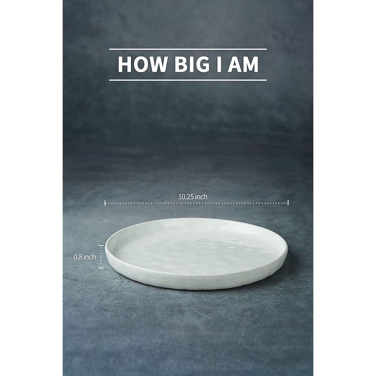 famiware Mars 4 Pieces Dinner Plates, 10.25 inch Plate Set, Scratch Resistant, Stoneware Dinnerware, Kitchen Modern Rustic Serving Dishes, Multi-color