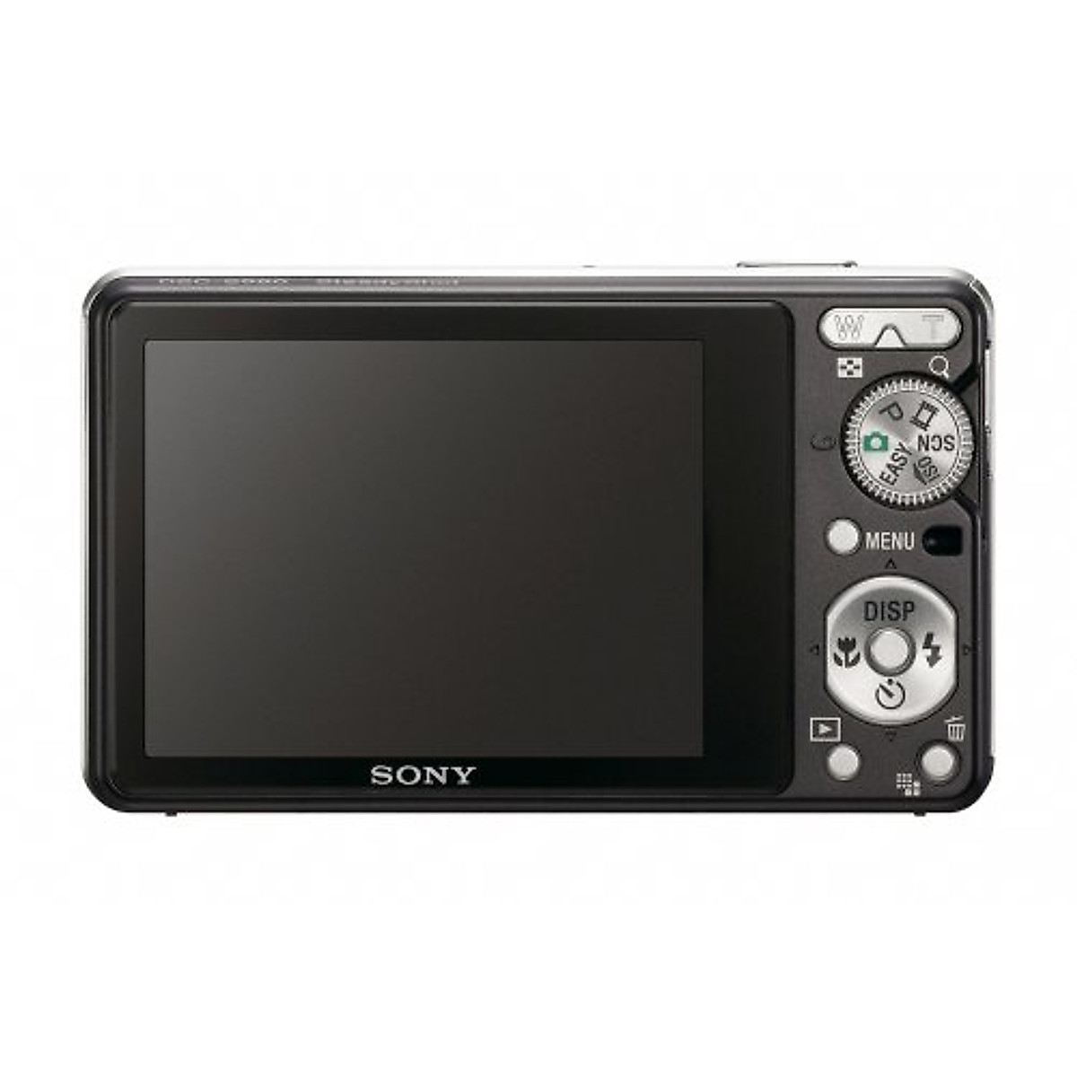 Sony Cybershot DSC-S980 12MP Digital Camera with 4x Optical Zoom with Super Steady Shot Image Stabilization (Black)