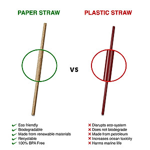 250pc Bendable Brown Paper Eco Friendly Biodegradable Straws Compostable And Disposable For Drinking Or Crafts