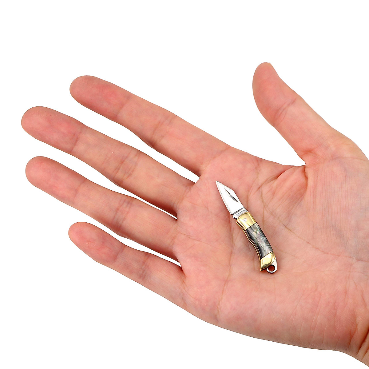 Miniature Gadgets Pocket Knife, Eastern Delights EDC Ultra Smallest Multifunction Cutting Blade Tool (Black Shell Handle)