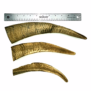 Herders Choice Chews Dried Goat Horns Dog Chew Large 1 pc.