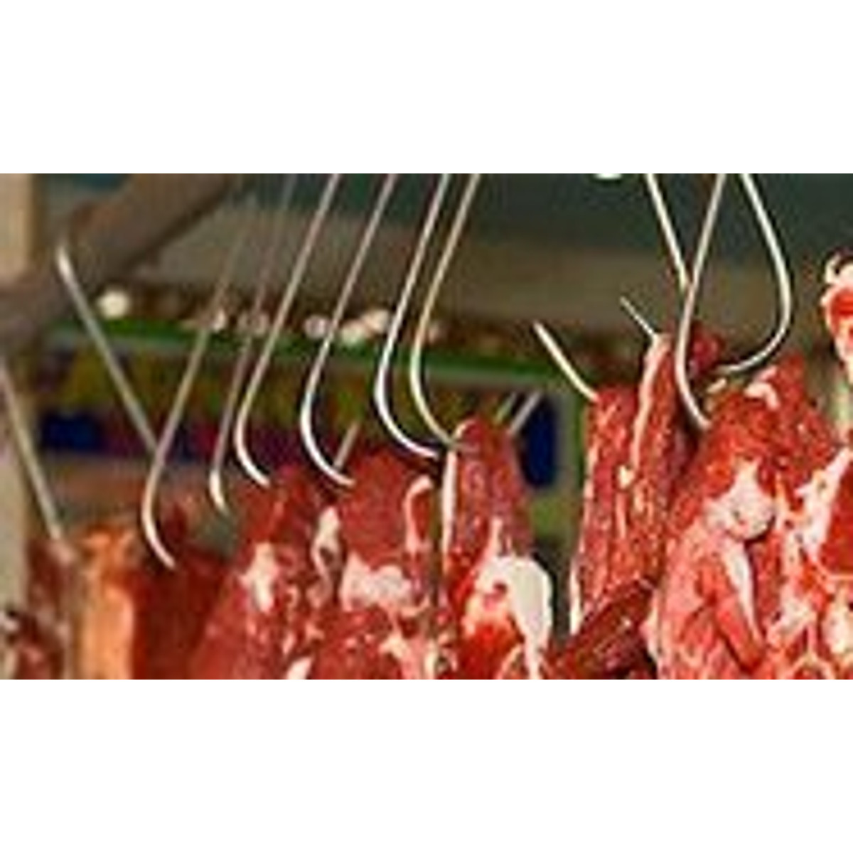 ALAZCO 2pc 9" Heavy Duty & Thick Stainless Steel Meat Processing Butcher Hook - Wild Game, Smoking Ribs BBQ Large Fish, Hunting, Carcass Deer Hanging S-Hook Excellent Quality 9mm Thick