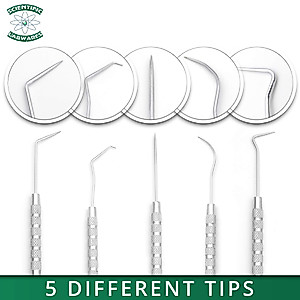Scientific Labwares 5-Piece Stainless Steel Precision Probe, Pick and Hook Set: Dissection, Clay and Wax Modeling, Sewing, Precision Work and More!
