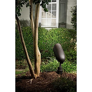 Cree Lighting Exceptional Series PAR38 Bulb, 3000K Dimmable LED Bulb, 120W + 1200 Lumens, Bright White, 1 Pack