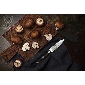 Dalstrong Paring Knife - 4 inch - Omega Series - BD1N-V Hyper Steel Kitchen Knife - G10 Woven Fiberglass Handle - Razor Sharp Knife - Leather Sheath Included