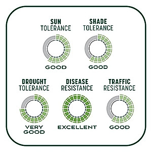 Pennington Smart Patch Sun and Shade Mix 10 lb