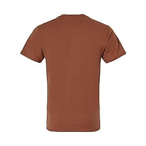 Hanes Mens Nano-T T-Shirt, L, Canyon Rock Brown