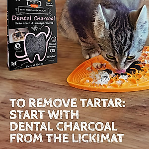 QCHEFS Dental Charcoal for Cats – Two Month Supply* - Food Topper - After Meal Licking Treat, Oral Health Snack with Amino Acids.