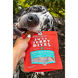 Stella & Chewy's Just Jerky Bites Real Salmon Recipe Dog Treats, 6 oz. Bag