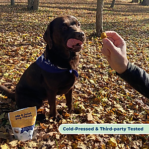 Jope Hip and Joint Dog Chews with UC-II® Collagen - More Effective Than Glucosamine - Veterinarian-Developed - Recommended for Small, Medium and Large Dogs - Cold-Pressed & Third-Party Tested