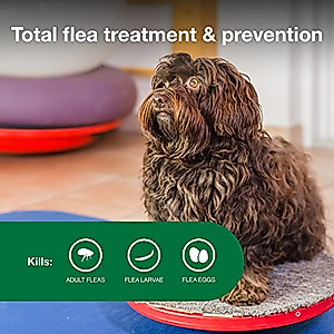 Advantage II Small Dog Vet-Recommended Flea Treatment & Prevention | Dogs 3-10 lbs. | 4-Month Supply