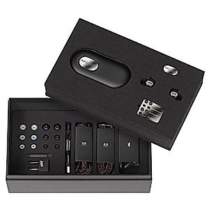 AKG N5005 Reference Class 5-driver Configuration In-Ear Headphones with Customizable Sound (US Version), Black - GP-N505HAHHAAA